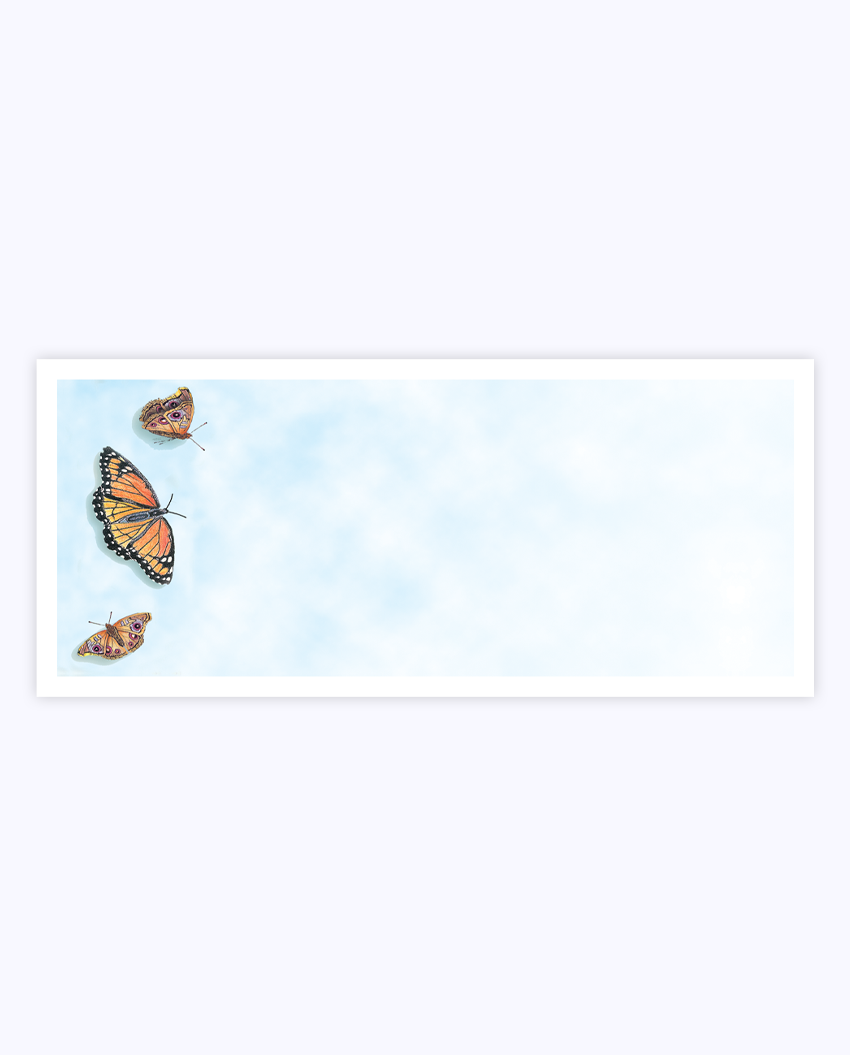 Custom Print Butterflies Envelopes No. 10 at MyGeoPrint